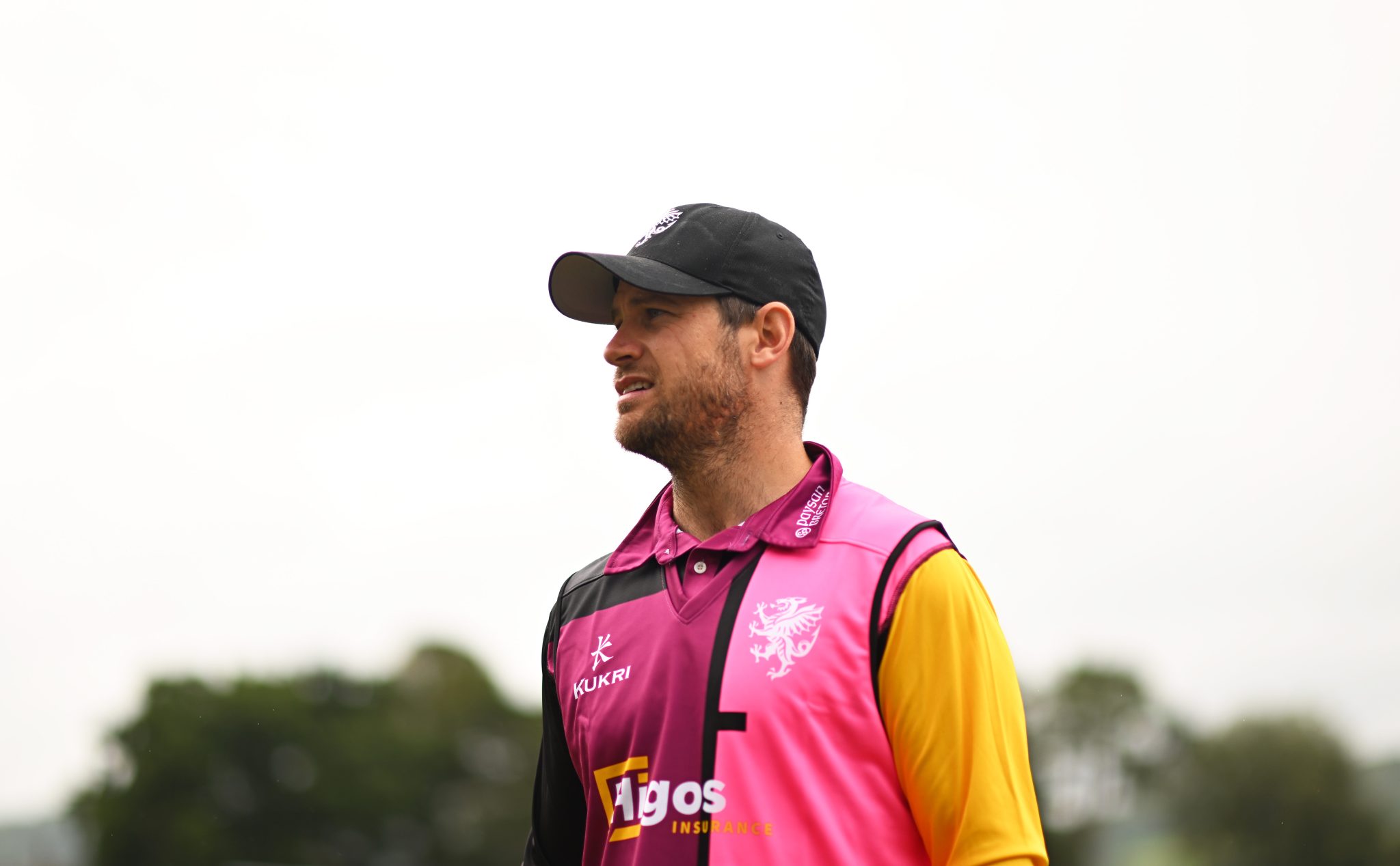 Rew shines again as Somerset beat Devon - Somerset