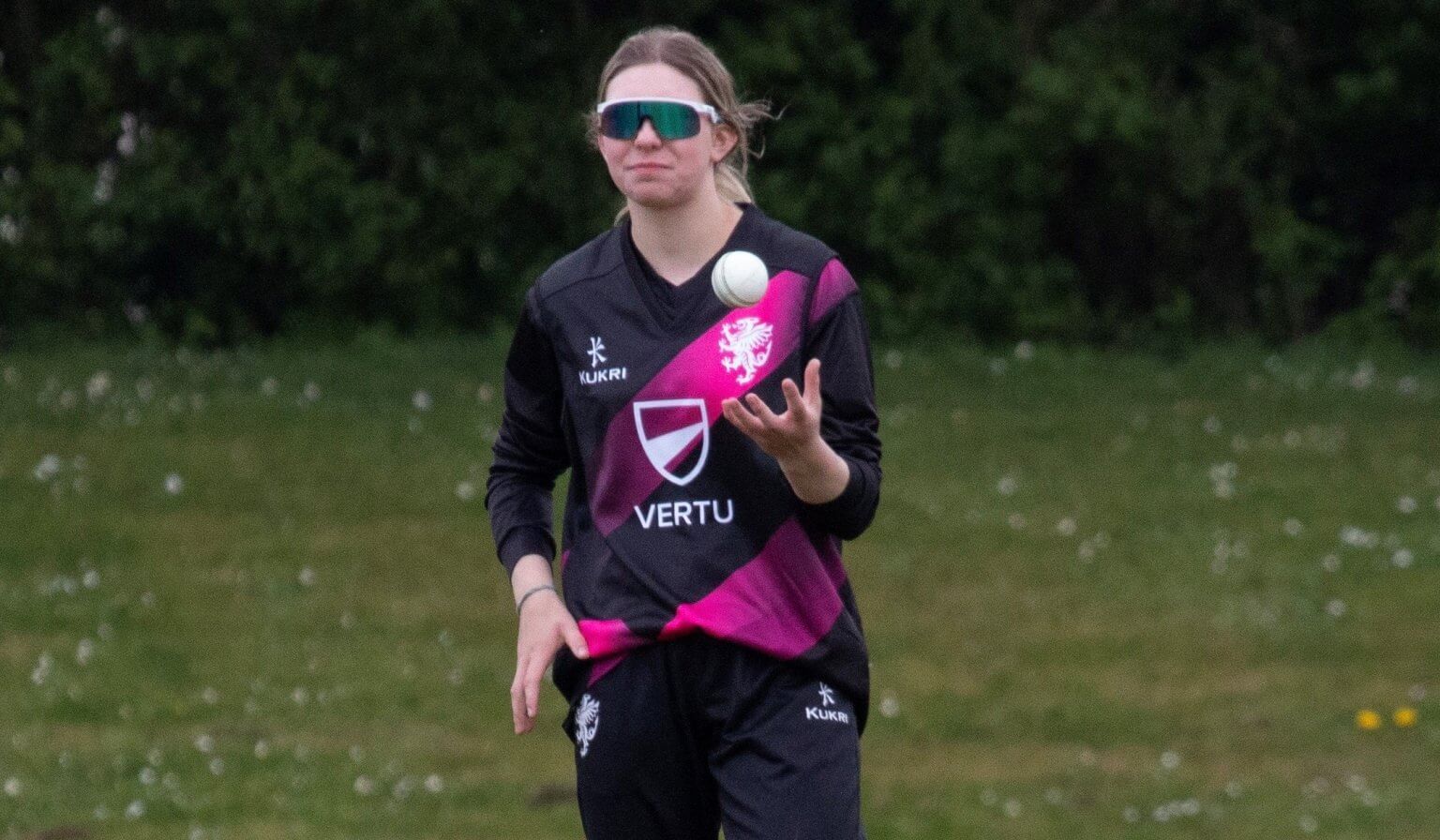 Latest from the Pathway - Somerset