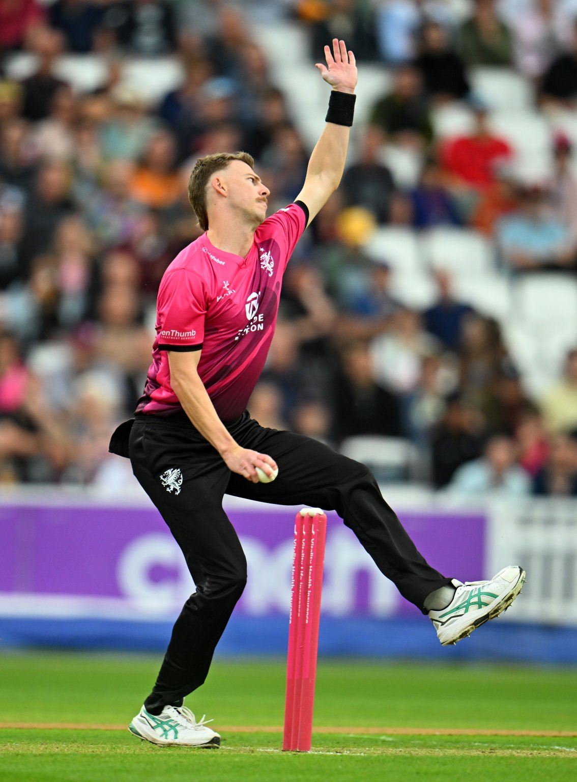 The Official Website of Somerset County Cricket Club