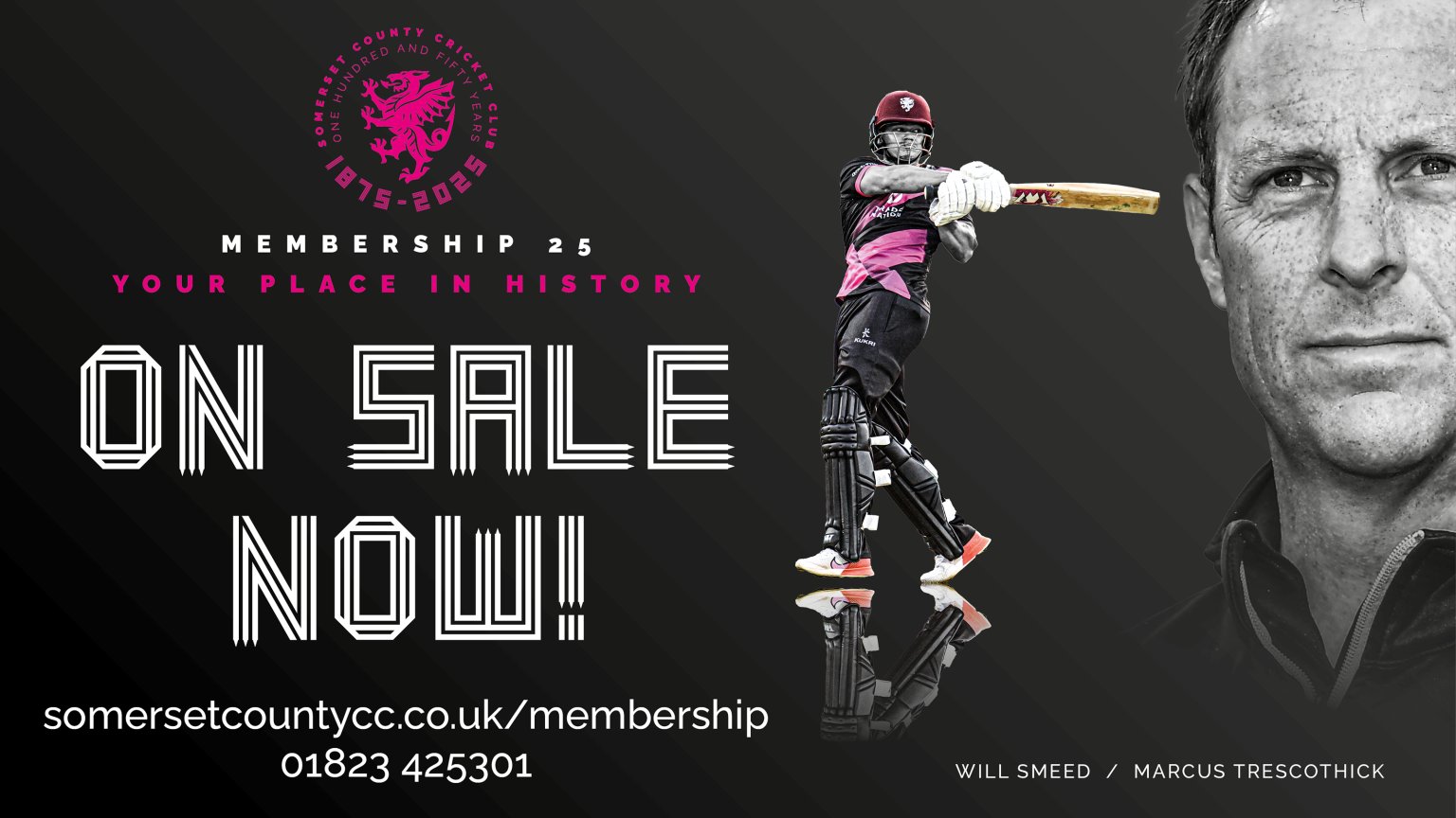 Somerset County Cricket Club | WyvernX OTT Platform