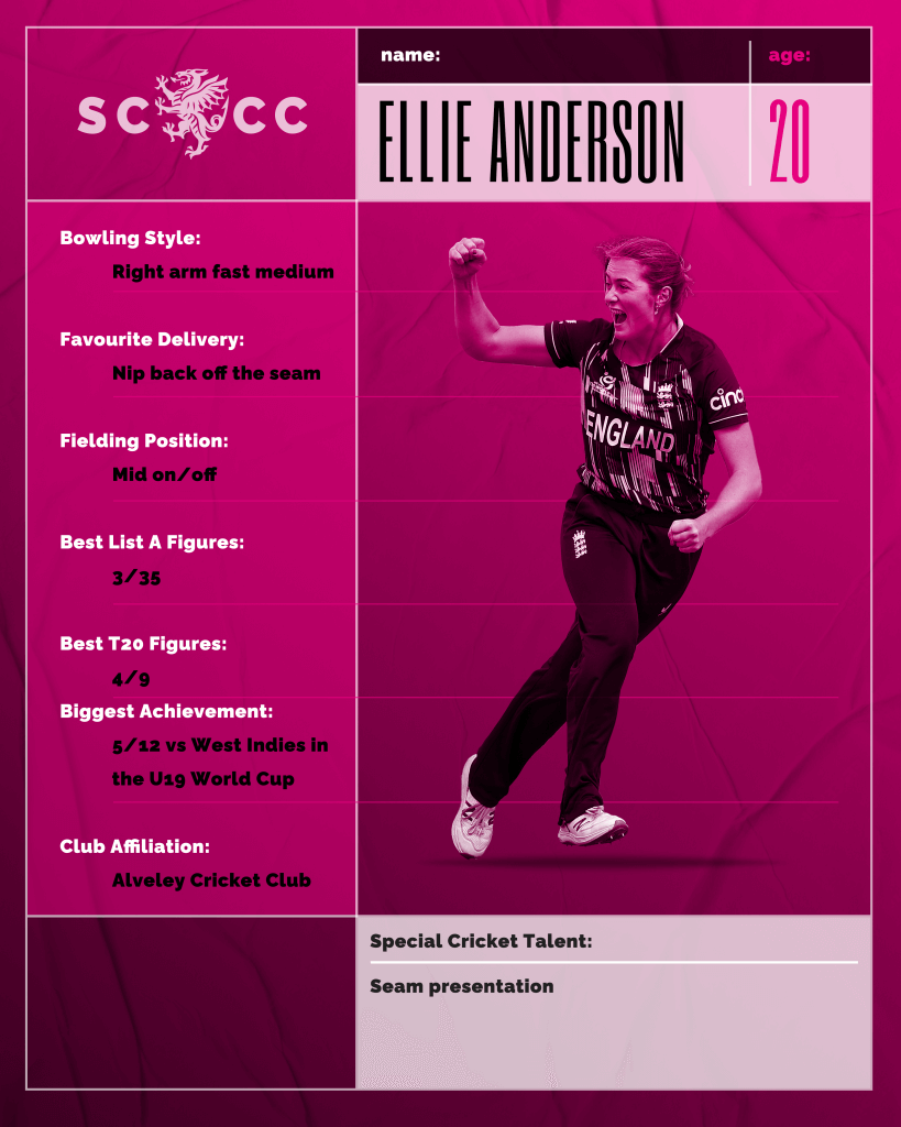 Somerset Sign Ellie Anderson - Somerset