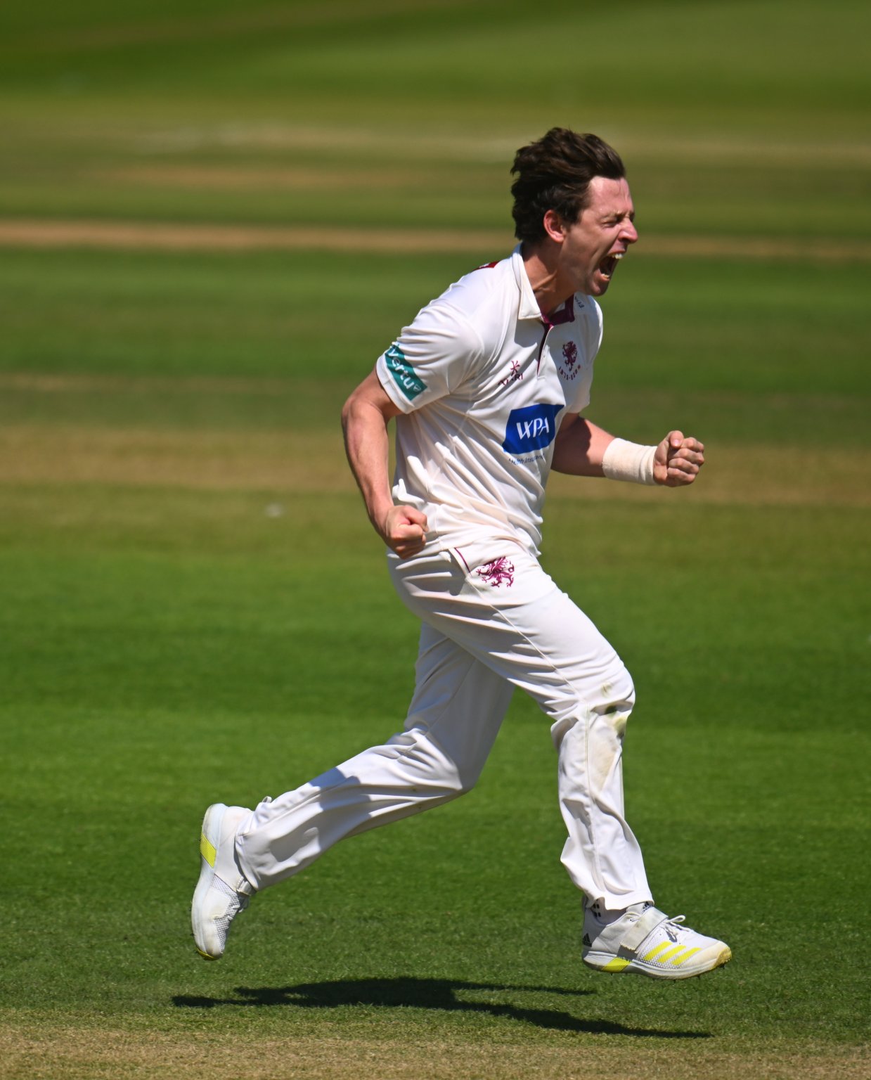 The Official Website of Somerset County Cricket Club