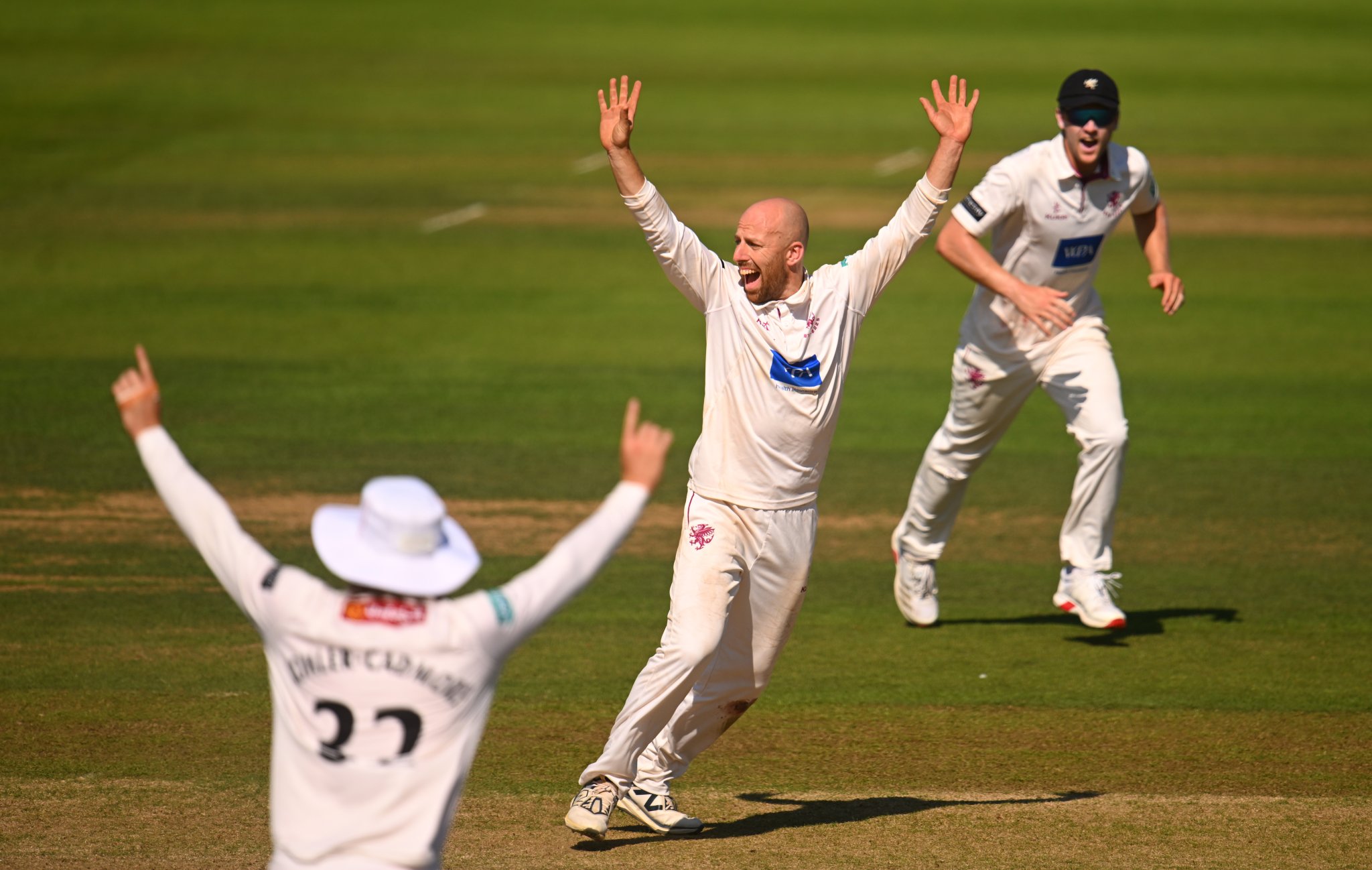 The Official Website of Somerset County Cricket Club