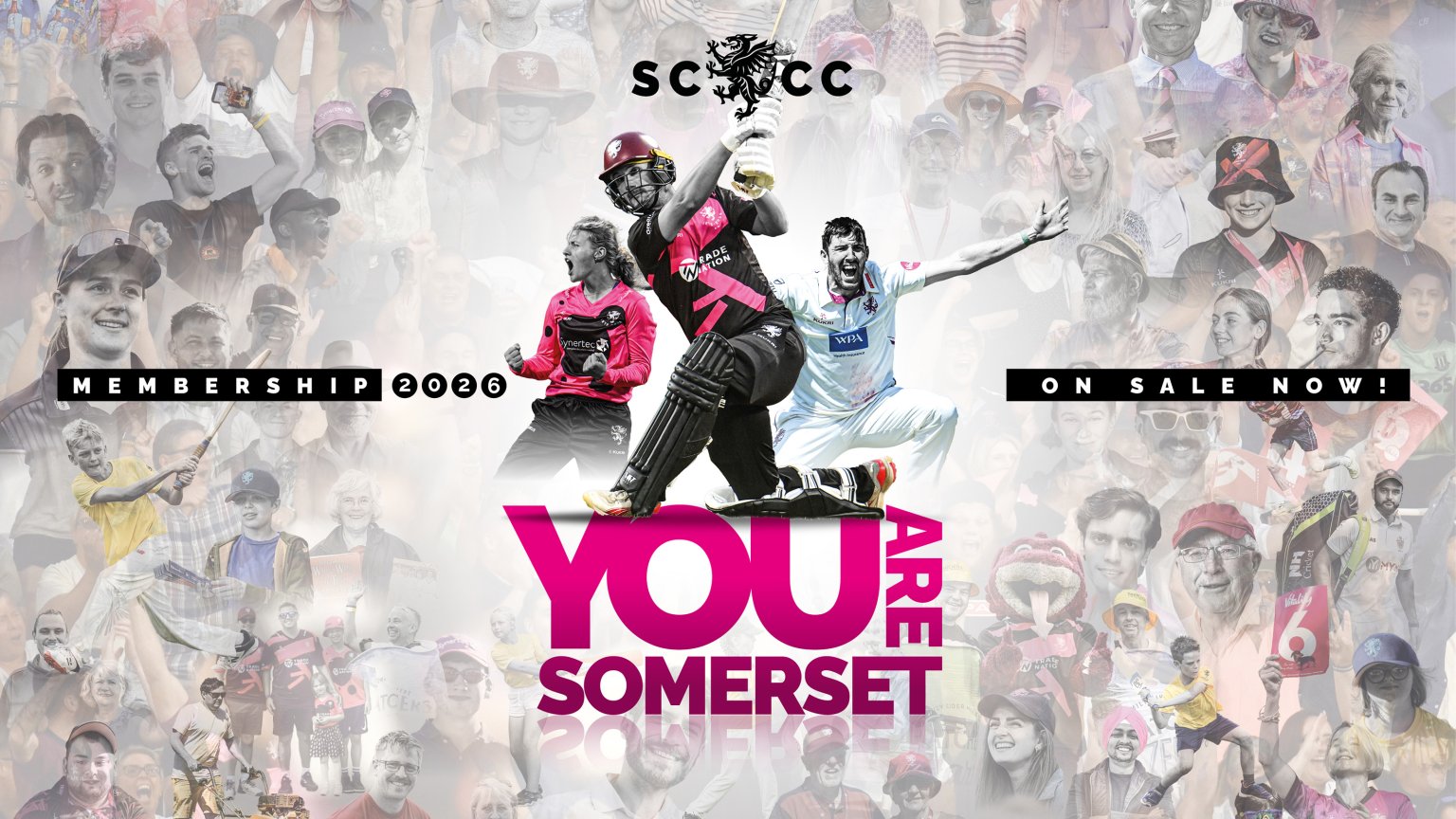The Official Website of Somerset County Cricket Club