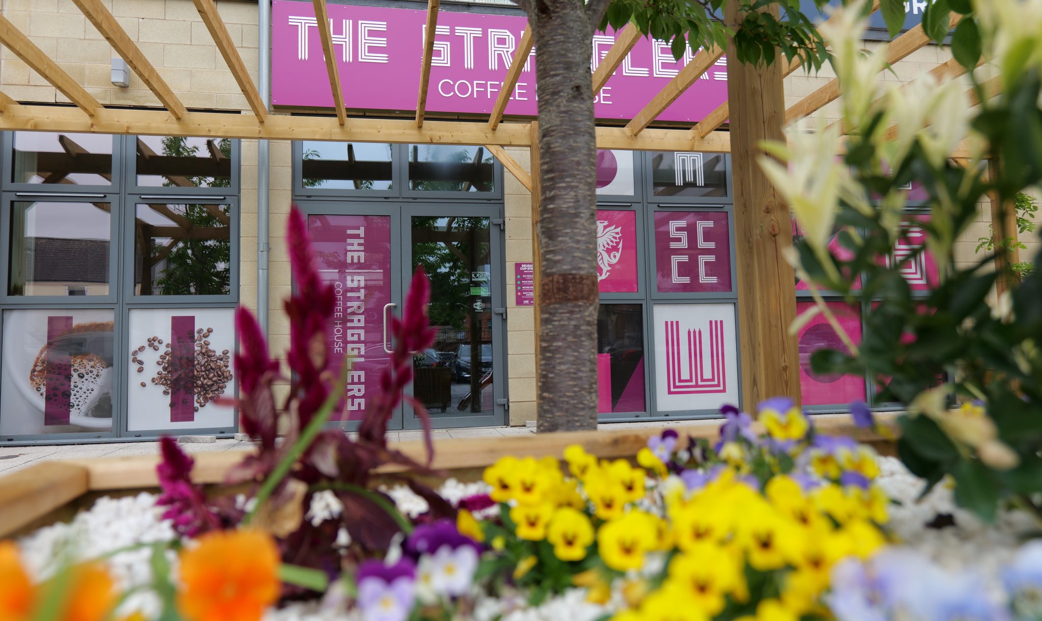 Treat Yourself - Experience the Vitality Blast in Style - Somerset